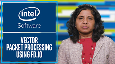 Vector Packet Processing Using FD.io
