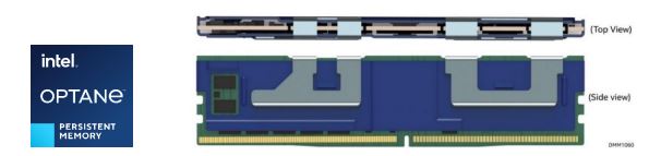 英特尔®服务器 D50DNP 家族支持的内存