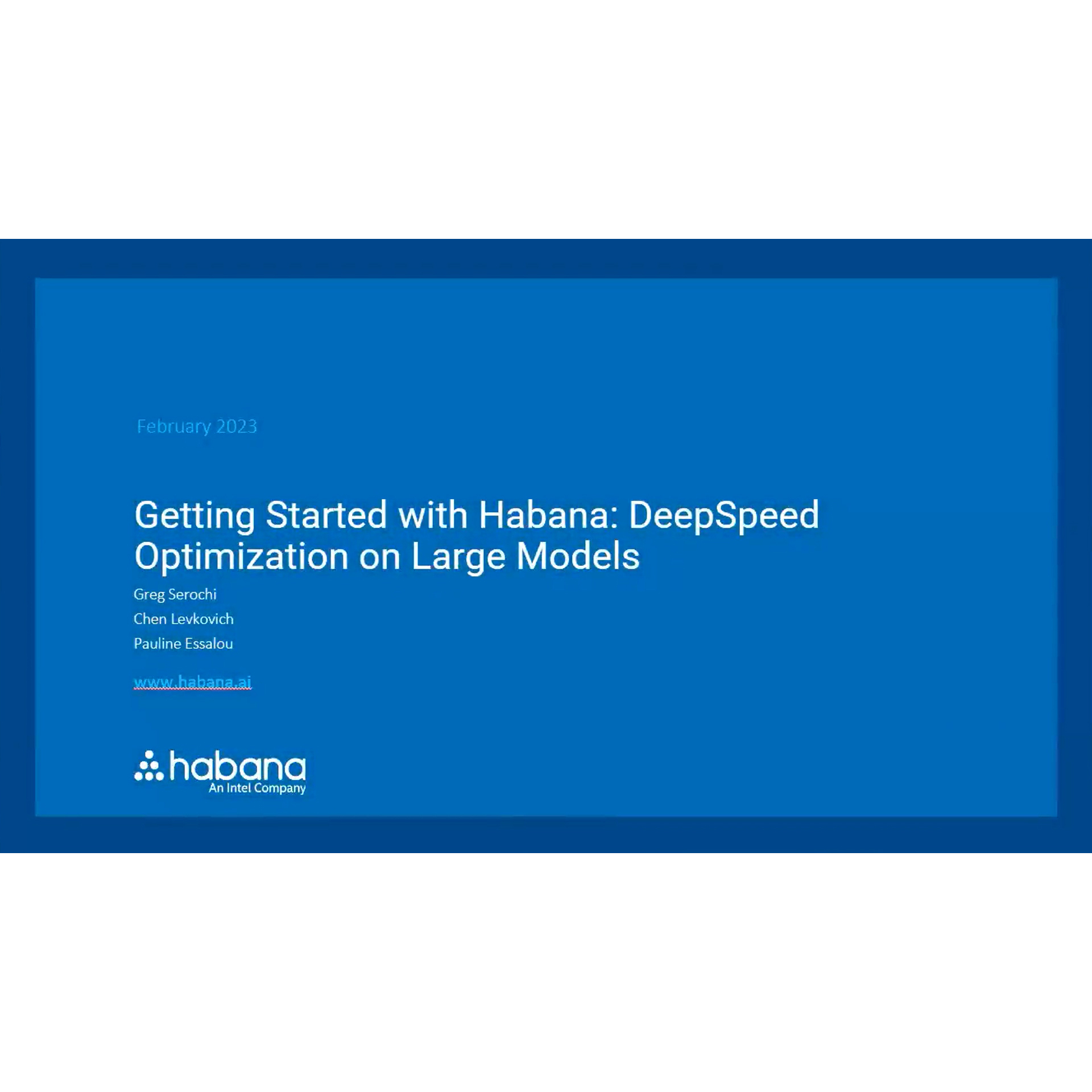 Deep Speed Optimization on Large Models