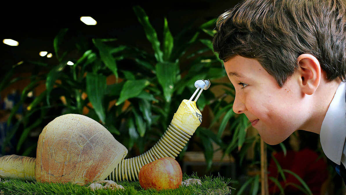 Mini Scientist - Need some extra help?