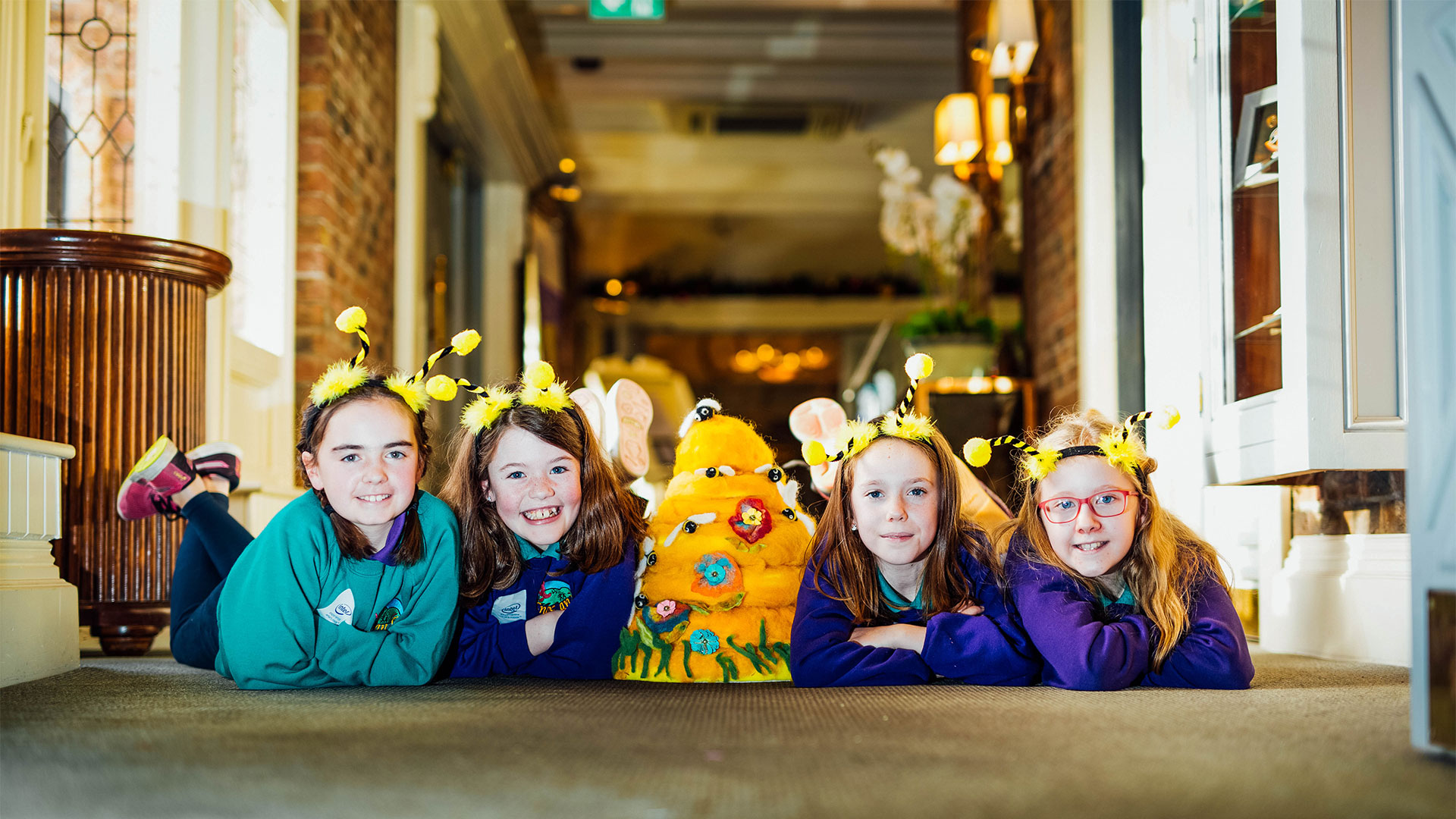 Mini Scientist - About the Competition